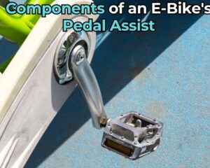 Learn How To Increase or Decrease Pedal Assist on an E-Bike